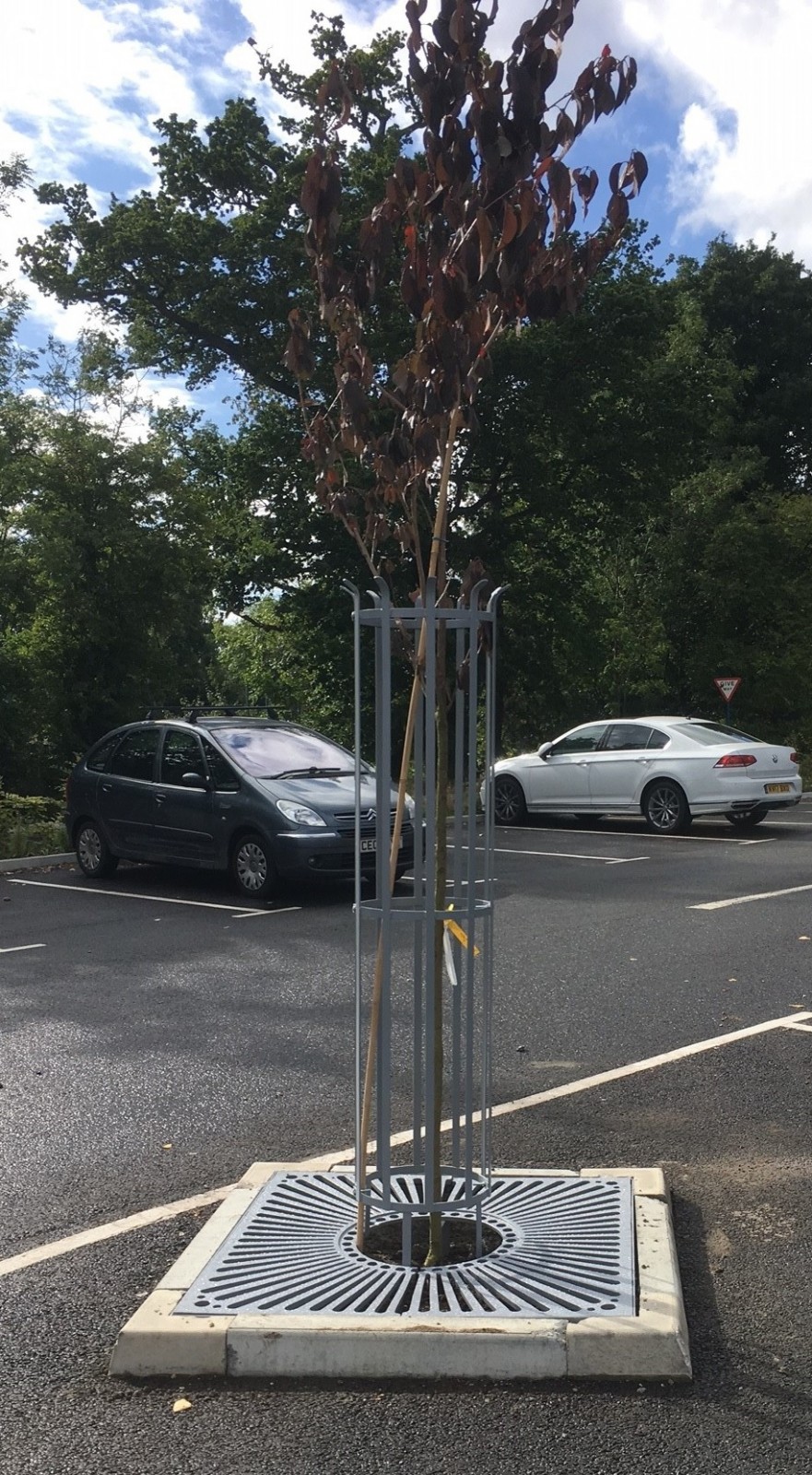 Supply of Tree Guards | The SSH Group